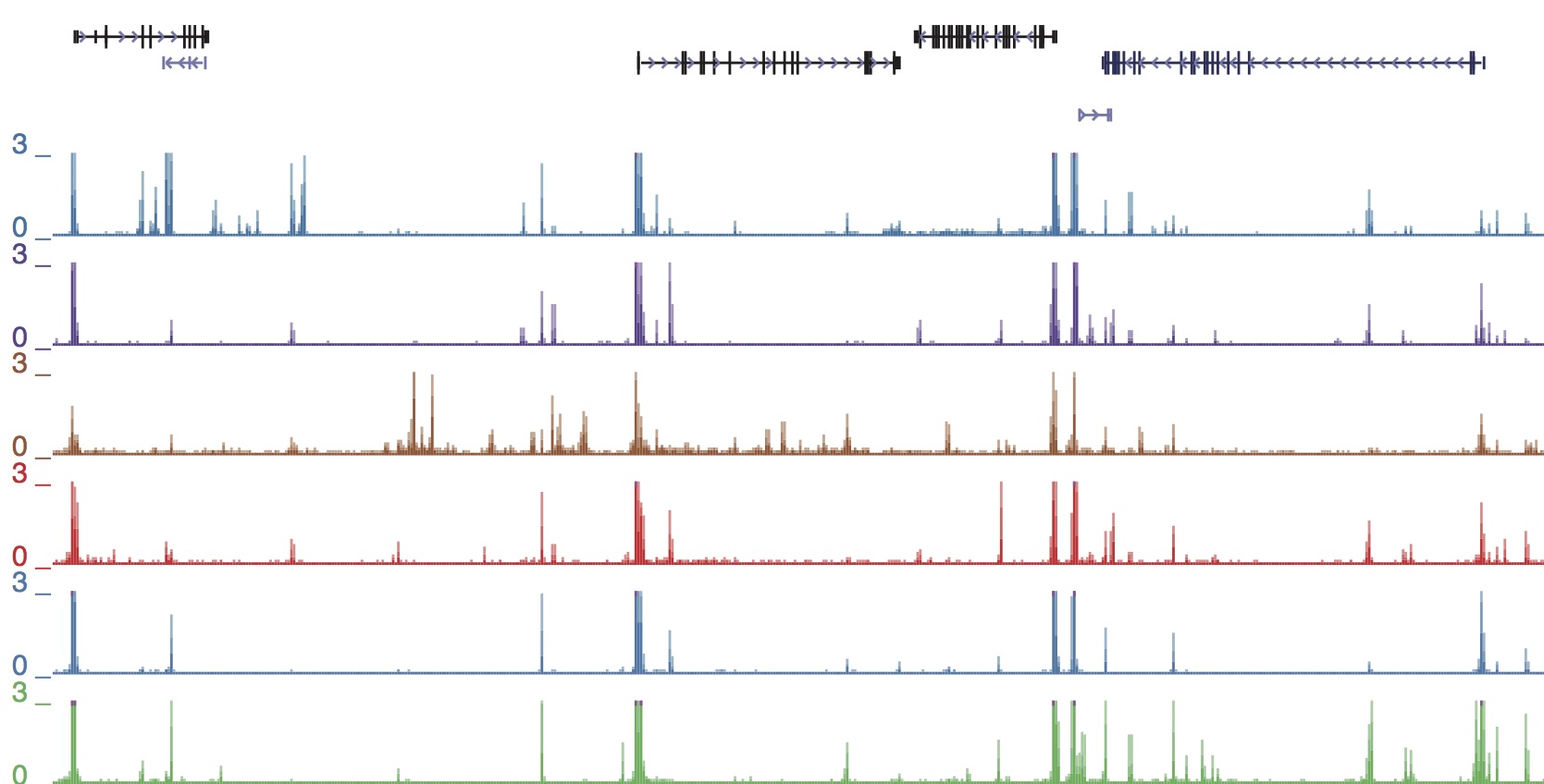 Skills – Jesper Mååg