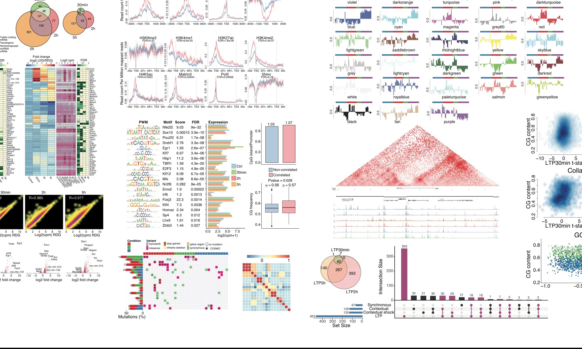 Publications – Jesper Mååg