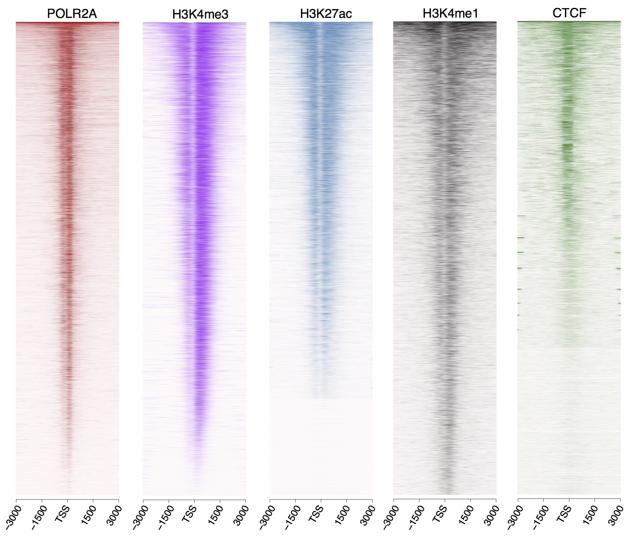 Skills – Jesper Mååg